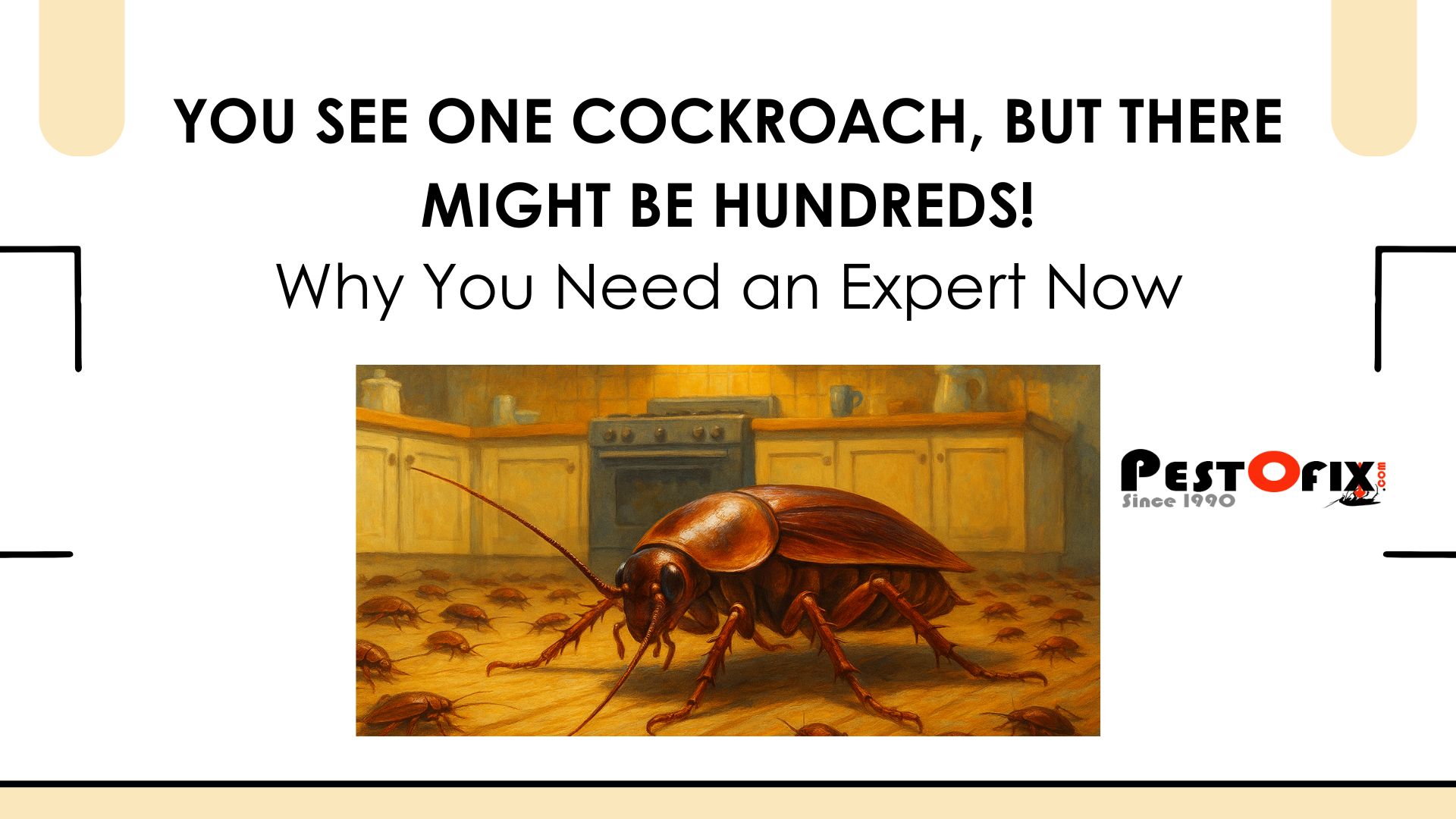 You See One Cockroach, But There Might Be Hundreds – Why You Need an ...